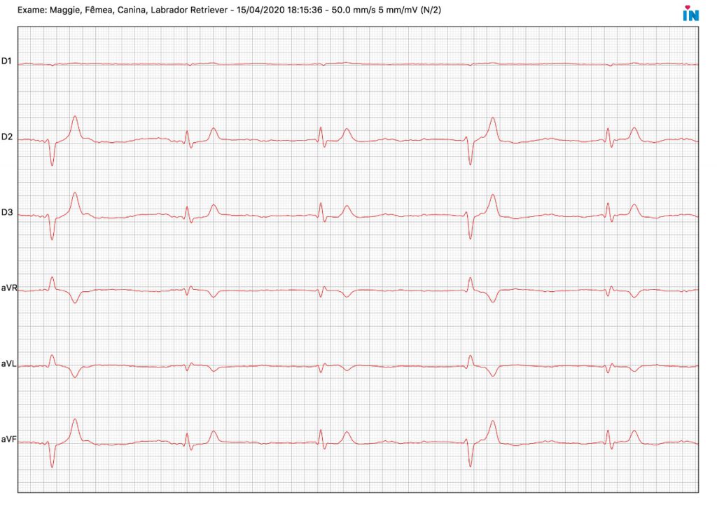 AnimalCor – Cardiologia Veterinária