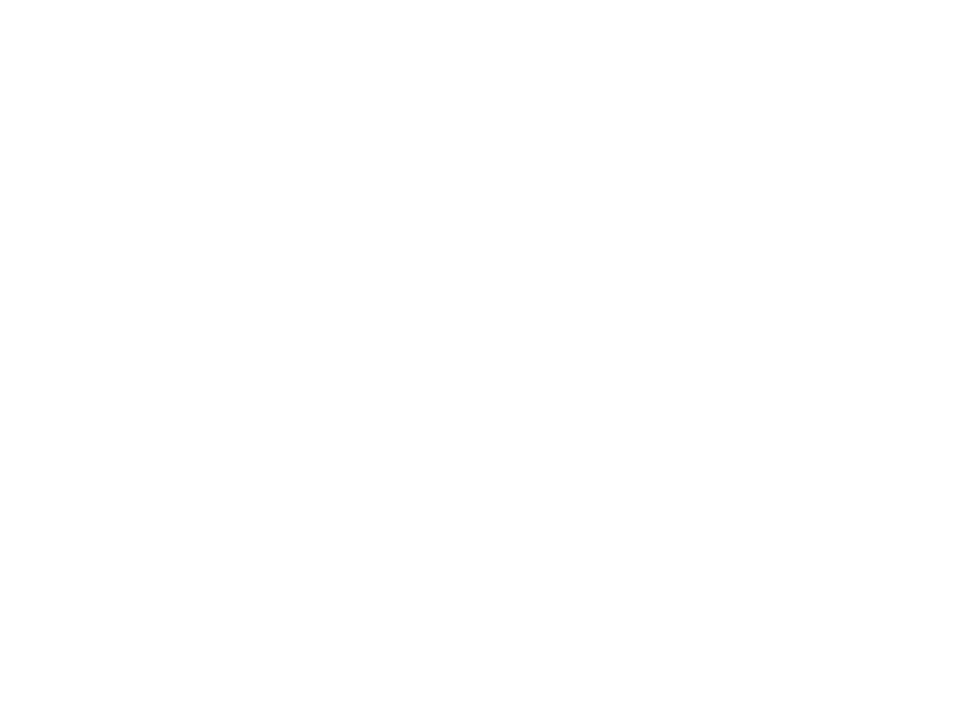 AnimalCor – Cardiologia Veterinária